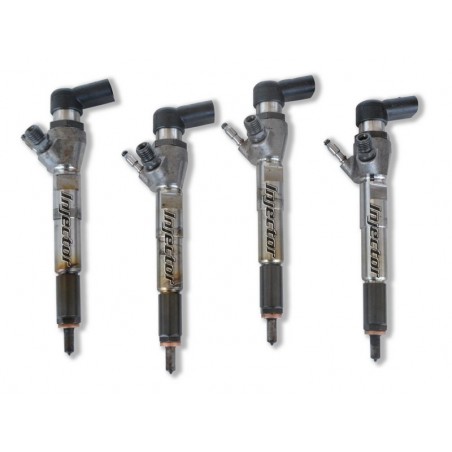 Renault Megane 1.5 dCi 81 CV 110 CH VDO Injecteur Occasion 166006526R ...